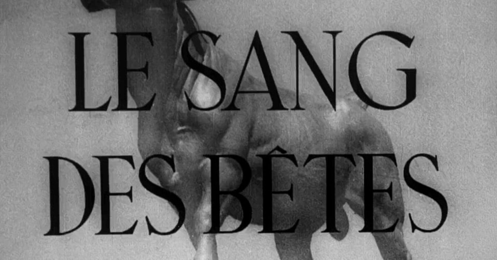 1949 - Sortie du documentaire « Le Sang des bêtes » de Georges Franju ...